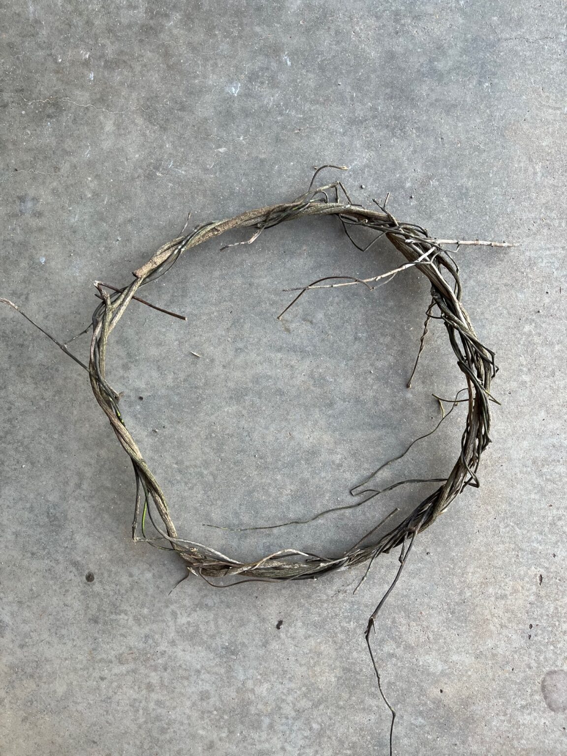 How to Make a Grapevine Wreath - DIY With Me - Whitney
